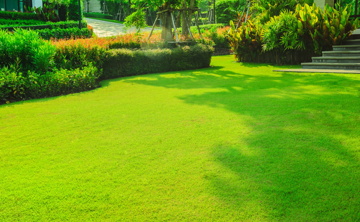 Professional Year-Round Lawn Care For Keller Residents - R&O Landscape ...