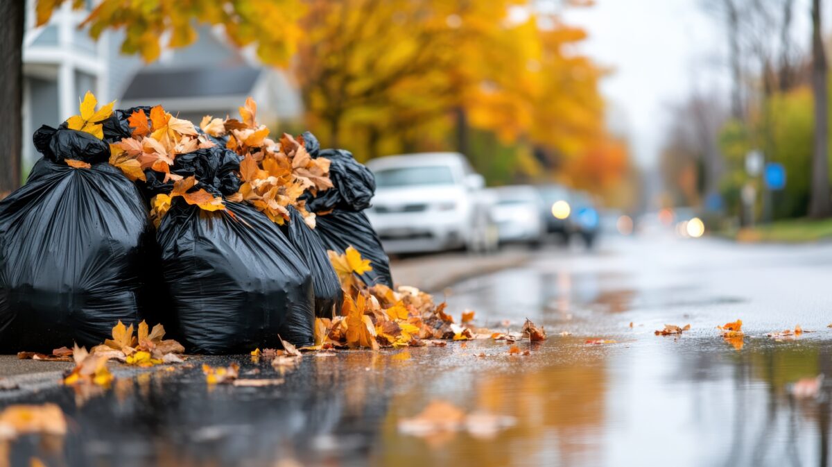 Keller Fall and Winter Leaf Bagging & Haul Away Service - R&O Landscape ...