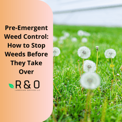 Pre-Emergent Weed Control: How to Stop Weeds Before They Take Over - R ...
