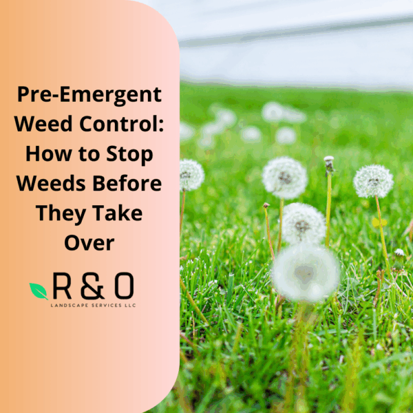 Pre-Emergent Weed Control: How to Stop Weeds Before They Take Over - R ...