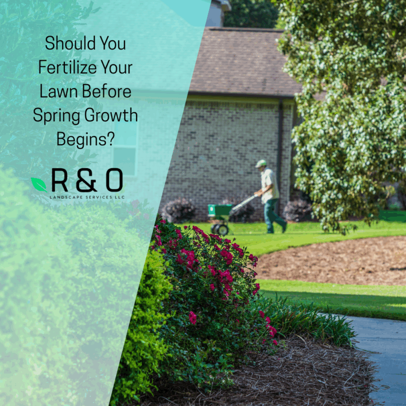 Should You Fertilize Your Lawn Before Spring Growth Begins? - R&O ...