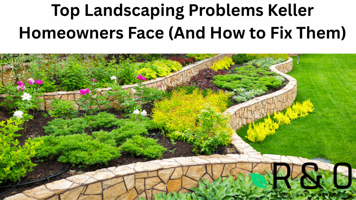 Top Landscaping Problems Keller Homeowners Face (And How to Fix Them ...